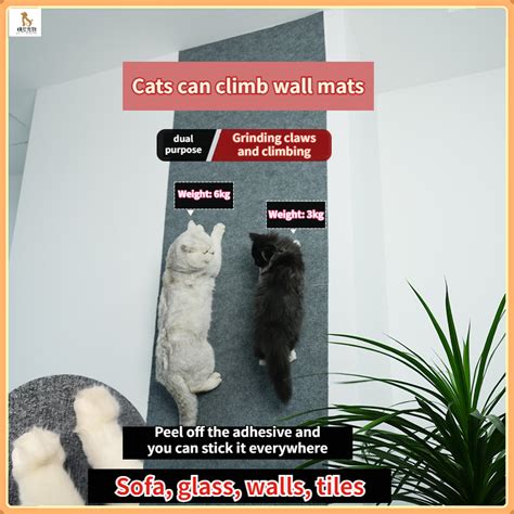 cat scratch board splicing and wall pasting cat scratch board random