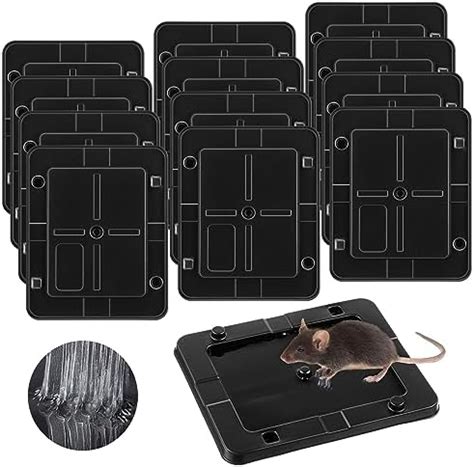 Amazon.com : Qualirey 6 Pack Mouse and Insect Glue Traps, Strong Sticky Pre Baited Trays with ...