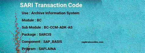 SARI SAP Tcode For Archive Information System