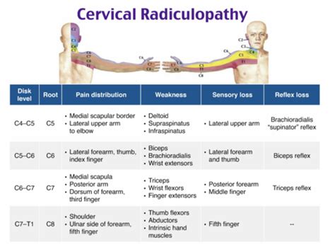 Em Neuro Flashcards Quizlet
