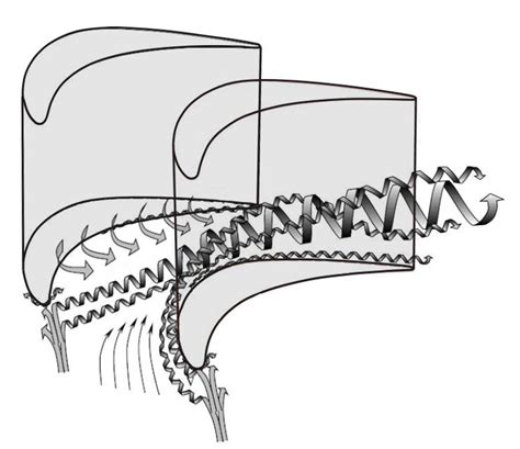 Vortex Flow Pattern According To Wang Et Al 5 Download Scientific