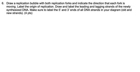 Draw A Replication Bubble With Both Replication Forks And Indicate The