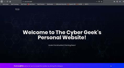 Hack The Box Write Up Postman 101010160 Bns3c Cybersecurity Blog