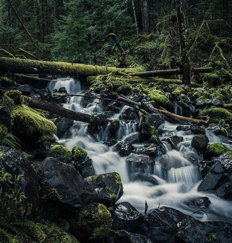 Hoh Rainforest Waterfall In The Olympic National Park 1 Photograph By