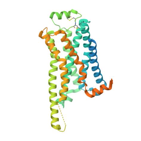 Rcsb Pdb 8unw Cryoem Structure Of Beta 2 Adrenergic Receptor In Complex With Gtp Bound Gs