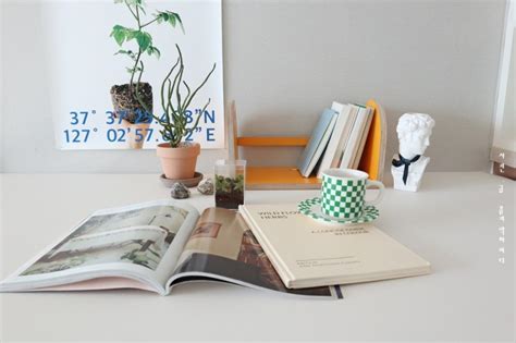 집순이취미추천 Diy 키트 제주애기모람 이끼 테라리움 만들기 이끼키우기 도전 네이버 블로그