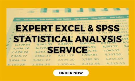 Provide Excel And Spss Statistical Analysis Service By Zayn Ahsan Fiverr