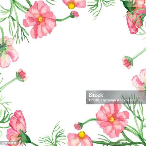 수채화 배너 흰색 배경에 고립 된 바늘 잎 녹색 줄기에 섬세 한 핑크 꽃 손으로 그린 청첩장 인사장의 우아한 디자인에 대 한 드문 핑크 데이지 계절에 대한 스톡 벡터 아트