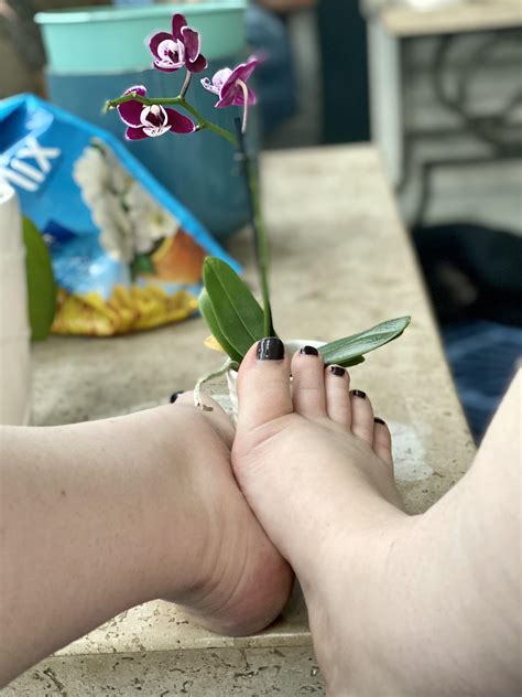 Caught You Staring Rverifiedfeet