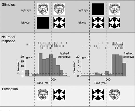 Figure 81 From Visual Cognitive Adventures Of Single Neurons In The
