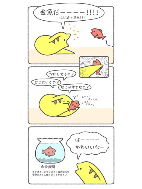 「金魚の日」を含むtwitter漫画 新着順