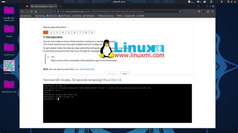 Incus 68 发布：2024 年最后一次重要更新 Linux迷