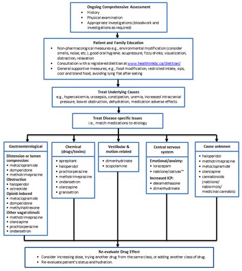 Palliative Care For Cancer Patients Pdf Cancerwalls