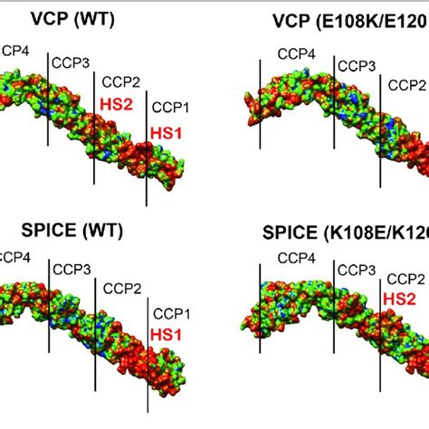 Electrostatic Similarity Index Esi Projected On The 3d Structure