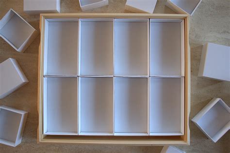 Cornell Unit Trays Ecology Supplies