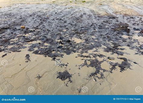 Beach Areas Are Filled With Mud Stock Image Image Of Coastal