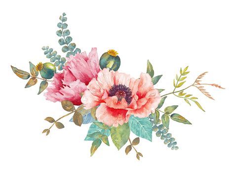 Цветы ридикулус - 68 фото