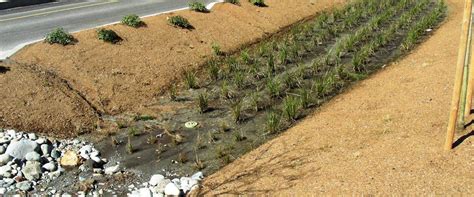 A Complete Guide To Bioretention Systems For Erosion Control And