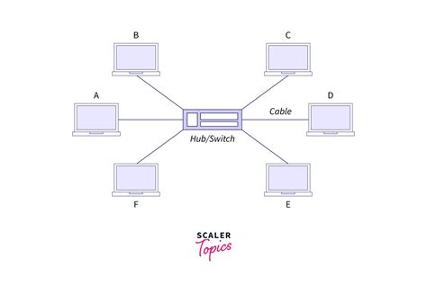 Local Area Network Topology