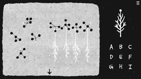 HER TREES First Puzzle By Stone HER TREES First Puzzle By Stone