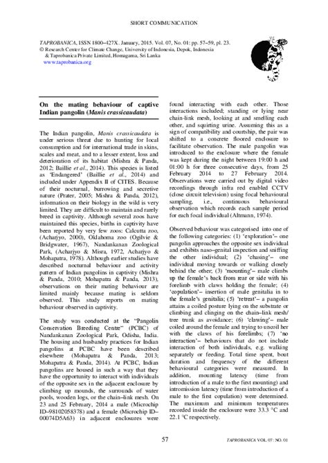 pdf on the mating behaviour of captive indian pangolin manis