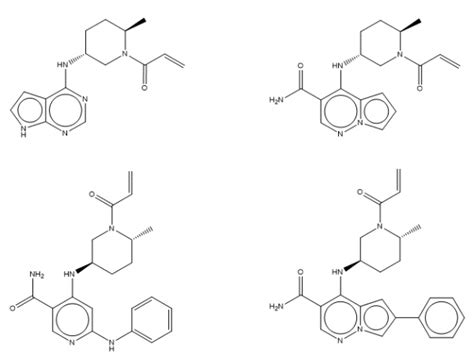 基于反应的虚拟化合物库枚举——jak3共价抑制剂集中库的生成