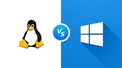 Linux Or Windows Hosting Learn How To Choose The Best Option