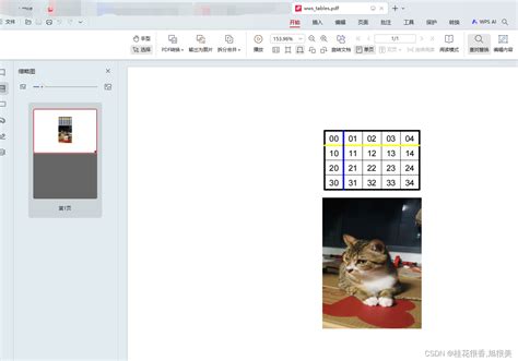 reportlab 生成pdf文件 python