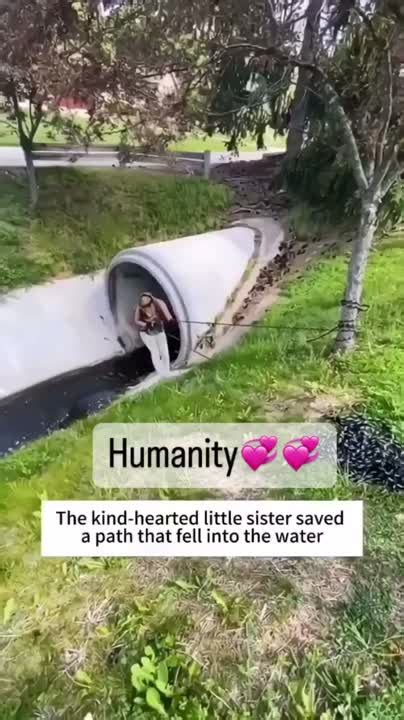 Sana Ullah On Linkedin Humanity Graceful Support Commitment