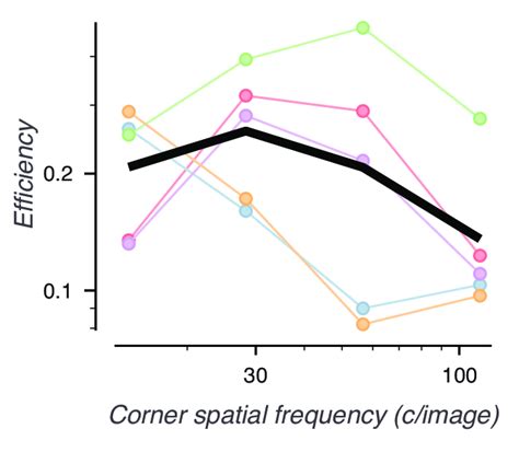 Efficiency Of Human Naturalness Sensitivity Compared To The Model Download Scientific Diagram