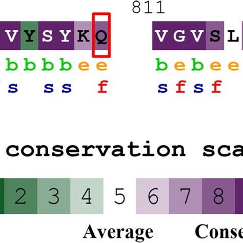 Evolutionary Conservation Scores For Residues Encompassing The Q810 Download Scientific Diagram