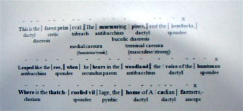 Poetrydish Dactylic Hexameter