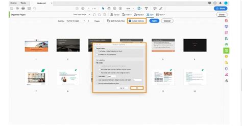 Split PDF Files With Adobe Acrobat And Its Alternative