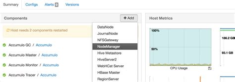 solved resource manager shows 0 active nodes and total me
