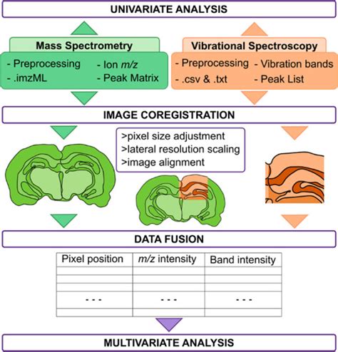 Perspective On Multimodal Imaging Techniques Coupling Mass Spectrometry And Vibrational