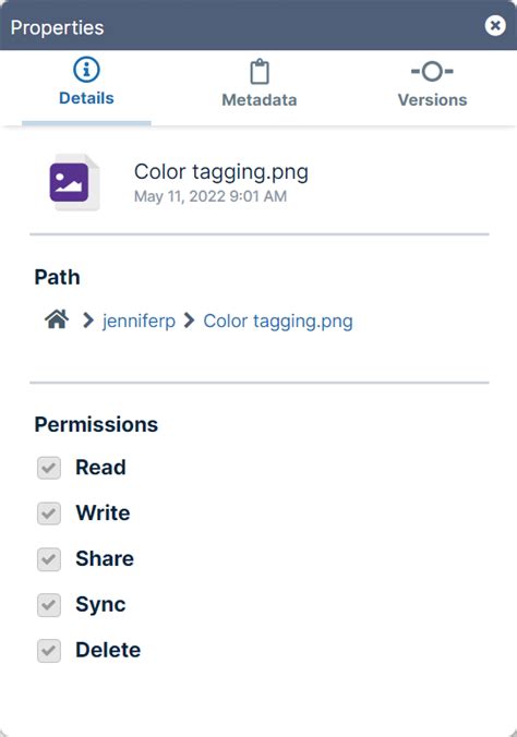 View A File Or Folders Details In Sync Filecloud Docs Online