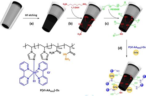 Schematic Of The Sensor Fabrication Process A D And Molecular