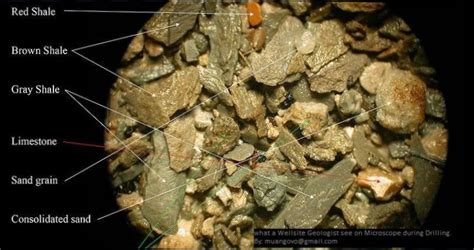 Jose Mafuta Muanguvo On Linkedin What A Wellsite Geologist Sees On Microscope During Drilling