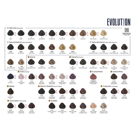 Tinte Evolution Alfaparf 60ml Peróxido 90ml Distribuidora Alhóndiga