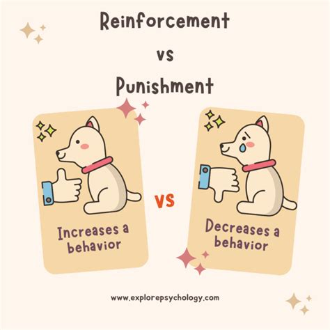 Types Of Reinforcement In Psychology Definition And Examples