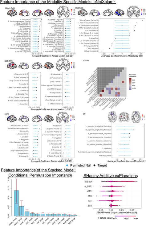feature importance of the modality‐specific and stacked models for the