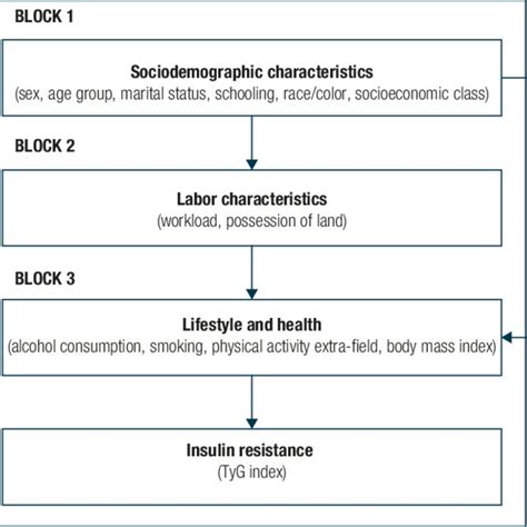 Hierarchical Theoretical Model Of The Possible Relationships Between