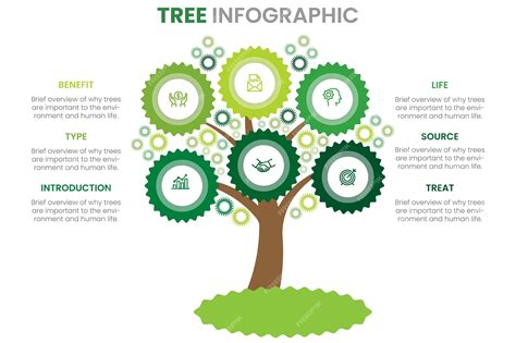 Premium Vector Infographic Template With Icons And 6 Options Or Steps Tree Can Be Used For