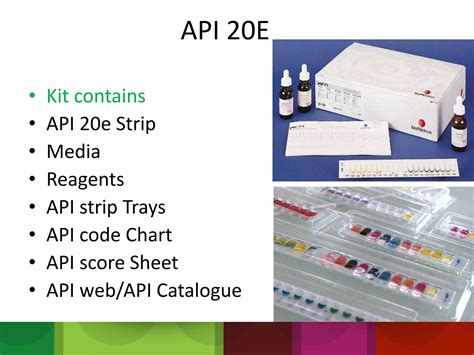 Api 20 E Pdf