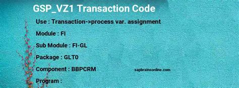 GSP VZ SAP Tcode For Transaction Process Var Assignment