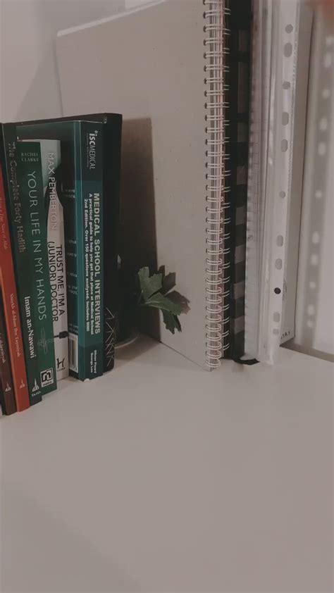 58 Glosario Ideas Titulos Bonitos Para Apuntes Libreta De Apuntes