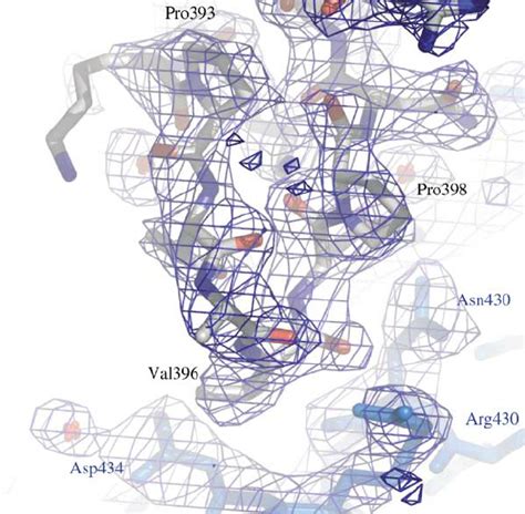 structure of loop 2 the 2 f o f c electron density map is contoured
