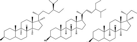Stigmasterol Structure Pdf Stigmasterol