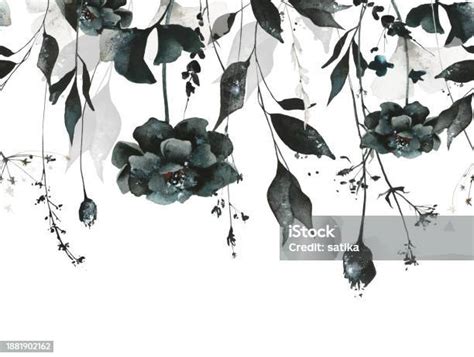 수채화 꽃 완벽 한 테두리 프레임입니다 블랙 그레이 금잔화 장미 은행나무 Biloba 야생화 나뭇잎 가지 0명에 대한 스톡 벡터 아트 및 기타 이미지 Istock