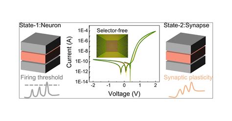 Reconfigurable Selector Free All Optical Controlled Neuromorphic Memristor For In Memory Sensing